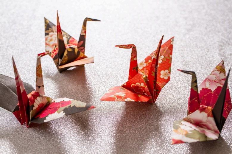 Beginners Origami: Fold Your Way to Wellness - Alton Library - Tuesday ...