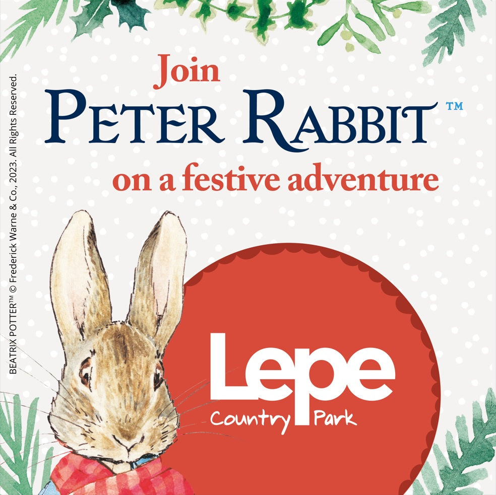 Christmas Trails – Tagged "Peter Rabbit" – Hampshire County Council Shop